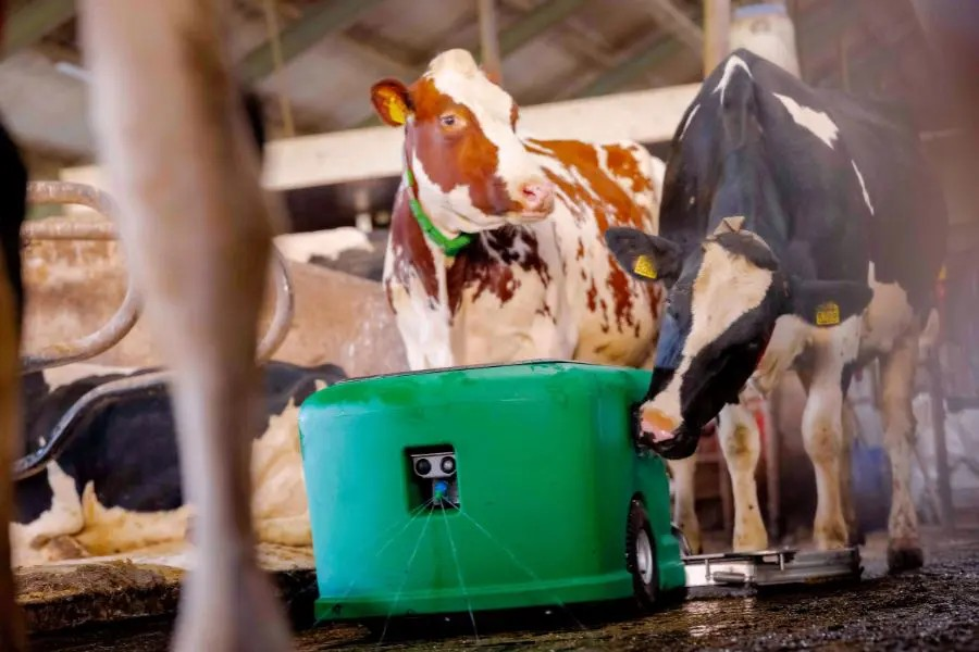 JOZ Nano Slurry Robot | Bayley's